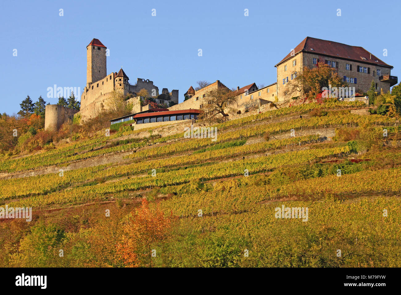 Castle hornberg neckarzimmern hi-res stock photography and images - Alamy