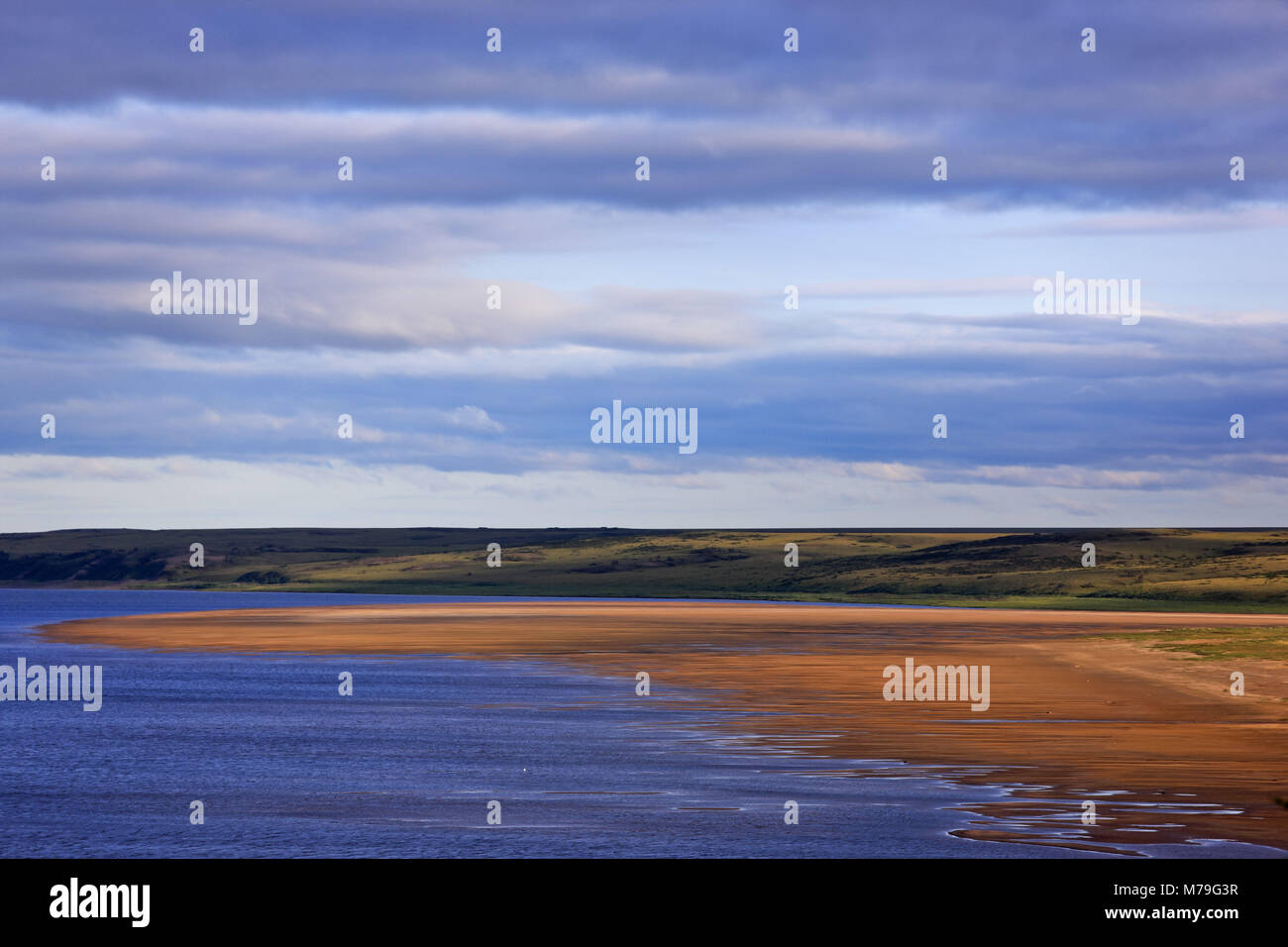 Asia, Russia, Siberia, region of Krasnojarsk, Taimyr peninsula, tundra ...