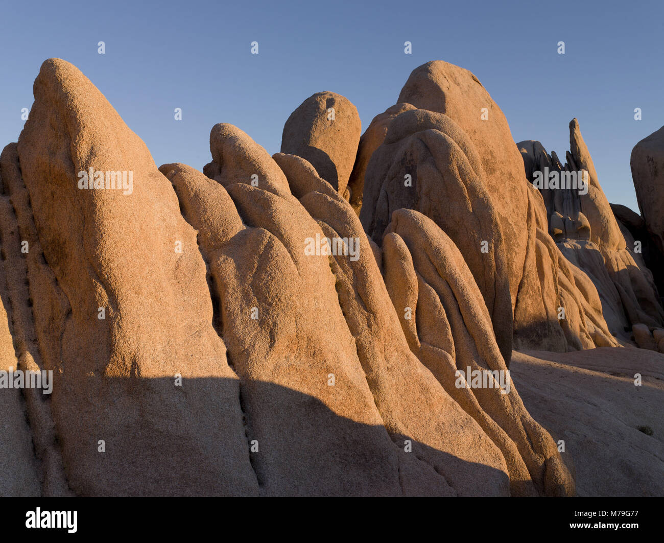 Joshua nationalpark hi-res stock photography and images - Alamy