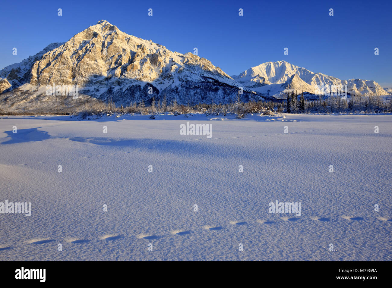 Brooks range, winter, alaska, hi-res stock photography and images - Alamy