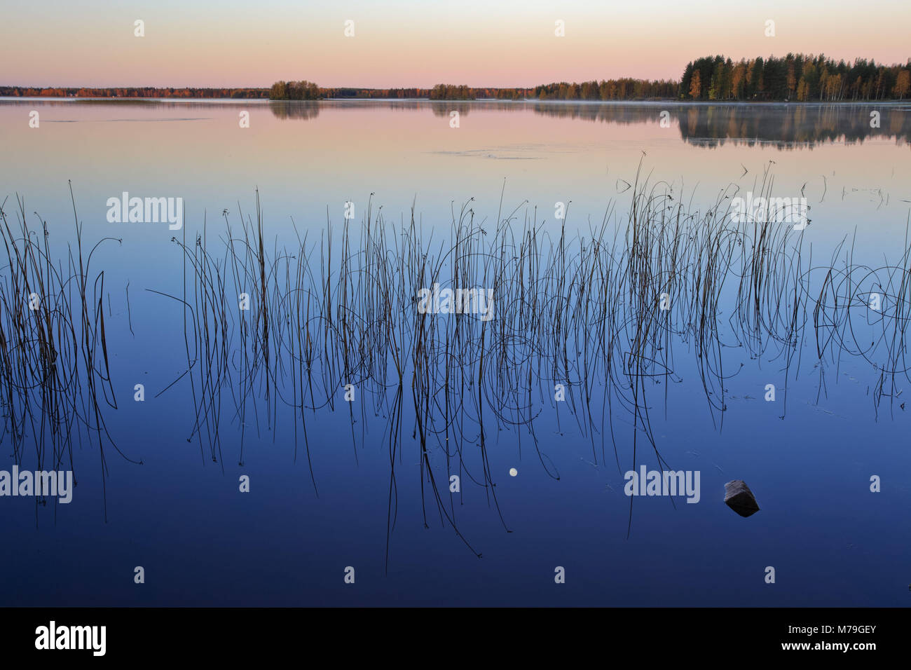 Finland scenery hi-res stock photography and images - Alamy