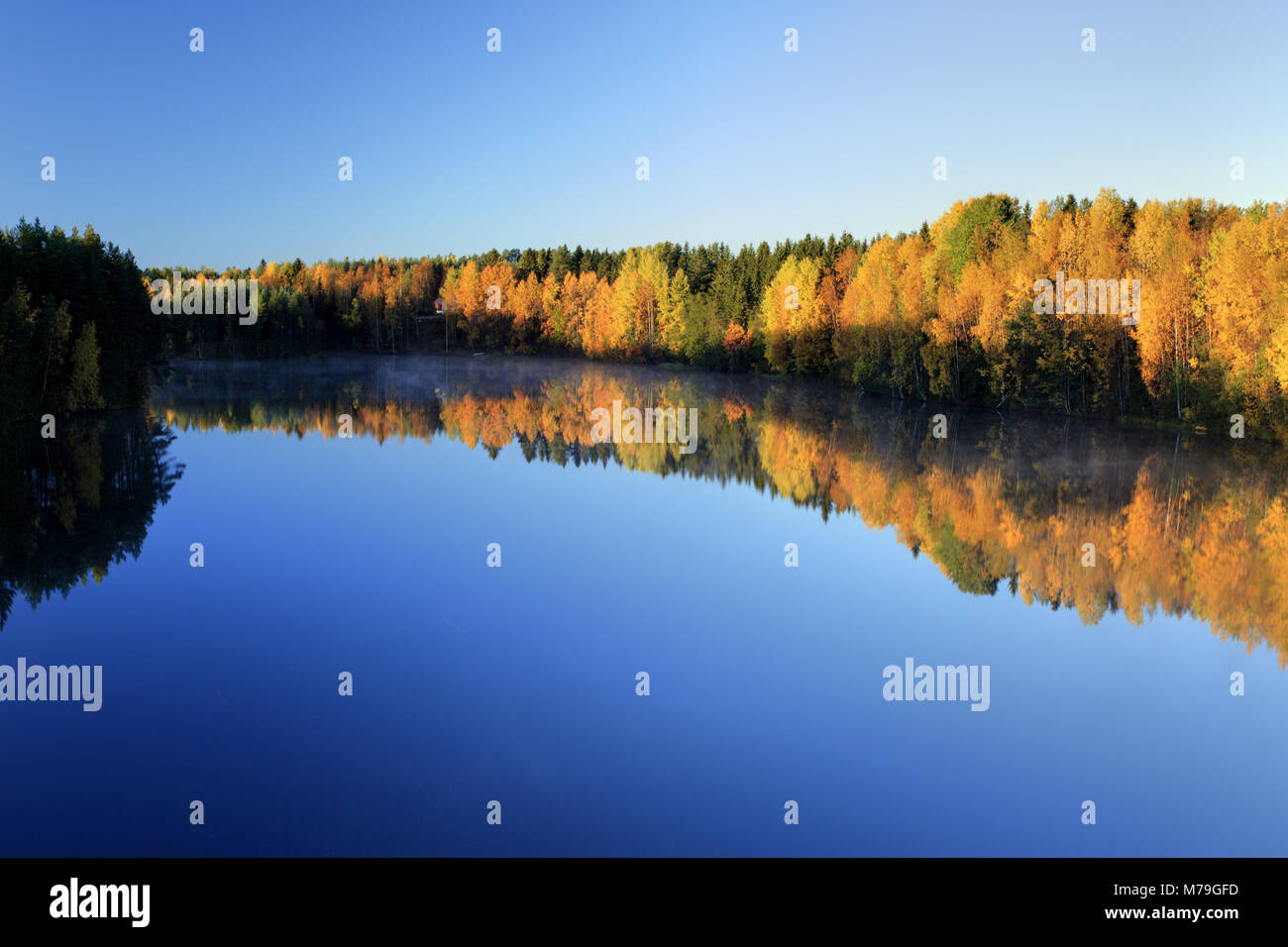 Europe, Finland, Karelia, autumn scenery Stock Photo - Alamy