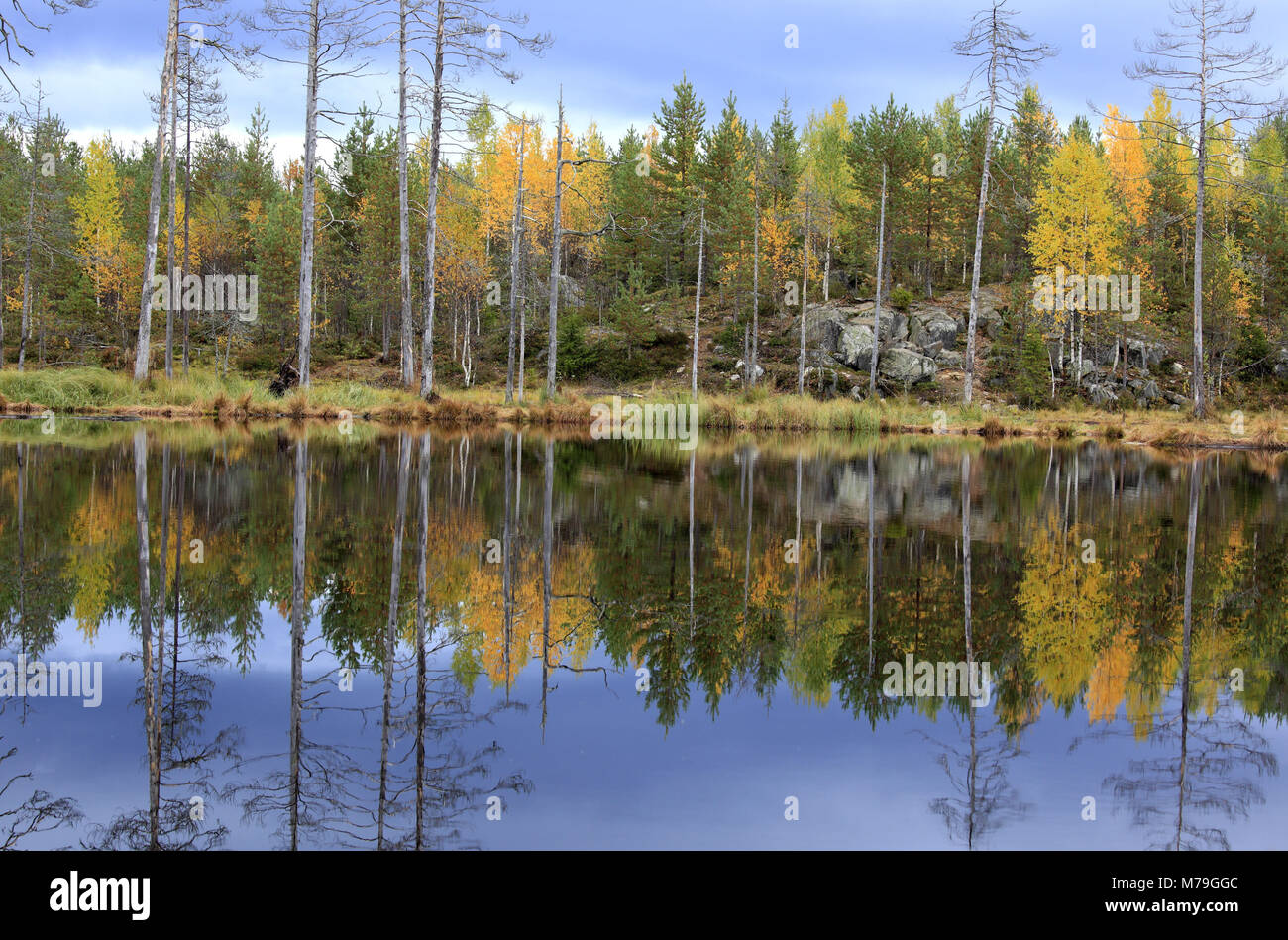 Finland scenery hi-res stock photography and images - Alamy