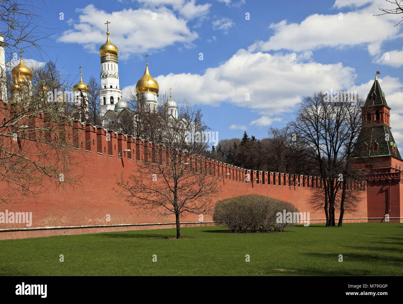 Europe, Russia, Moscow, big Kremlin palace, Kremlin cathedral, bulbous ...