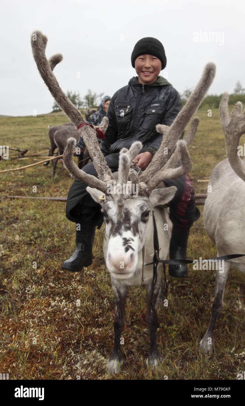 Asia, Russia, Siberia, region of Krasnojarsk, Taimyr peninsula ...