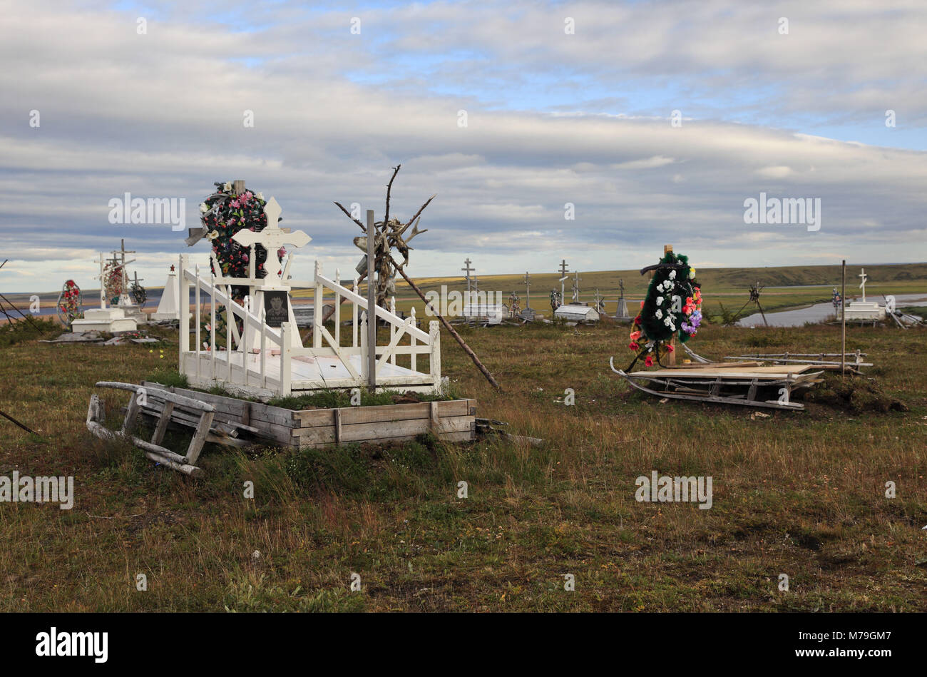 Taimyr peninsula reindeer hi-res stock photography and images - Alamy