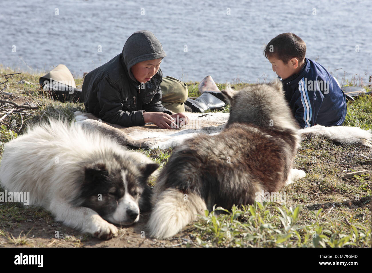 Children with dogs hi-res stock photography and images - Alamy