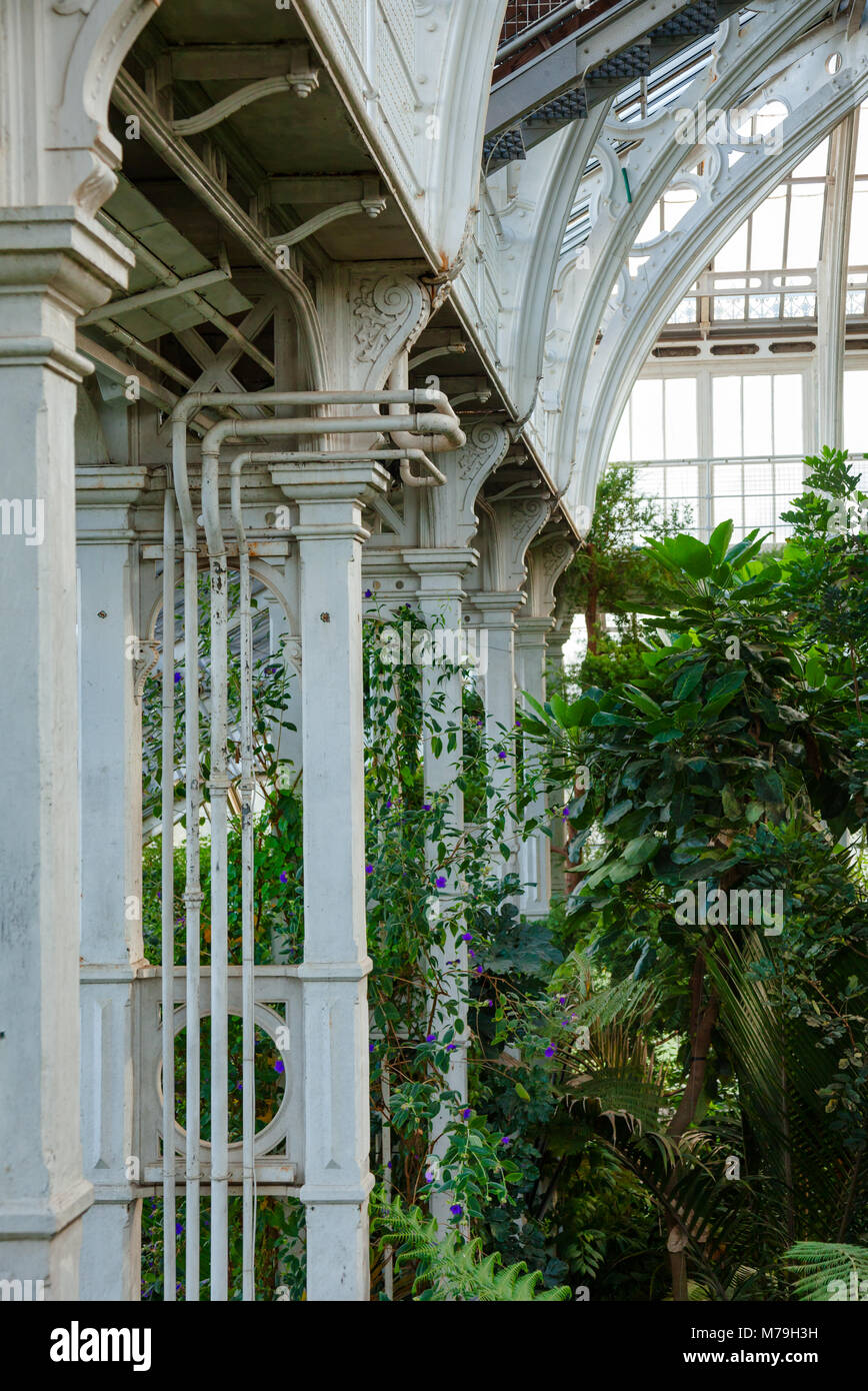 Victorian Conservatory High Resolution Stock Photography and Images - Alamy