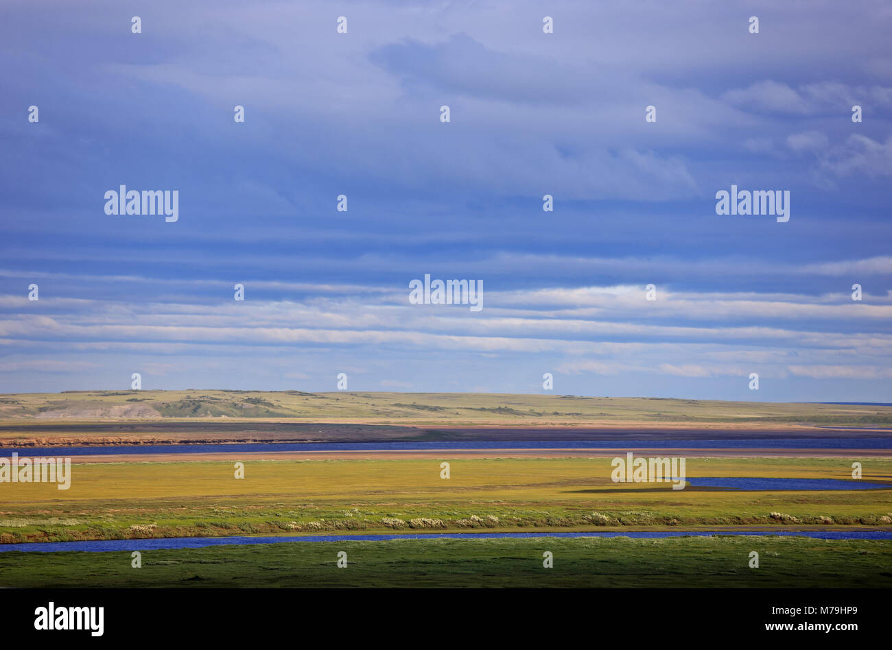 Asia, Russia, Siberia, region of Krasnojarsk, Taimyr peninsula, tundra ...