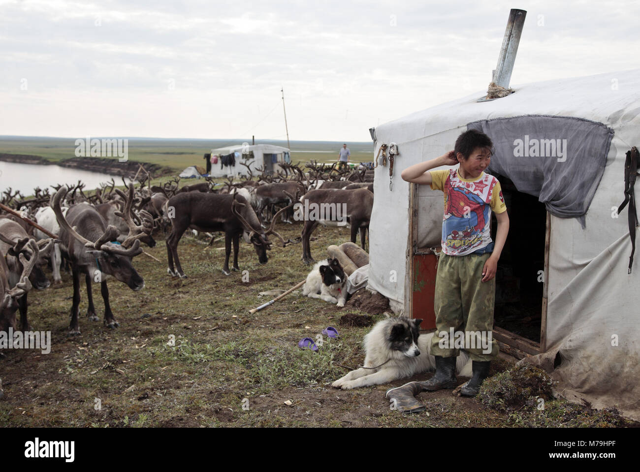 Tundra Siberia Asia High Resolution Stock Photography and Images - Alamy