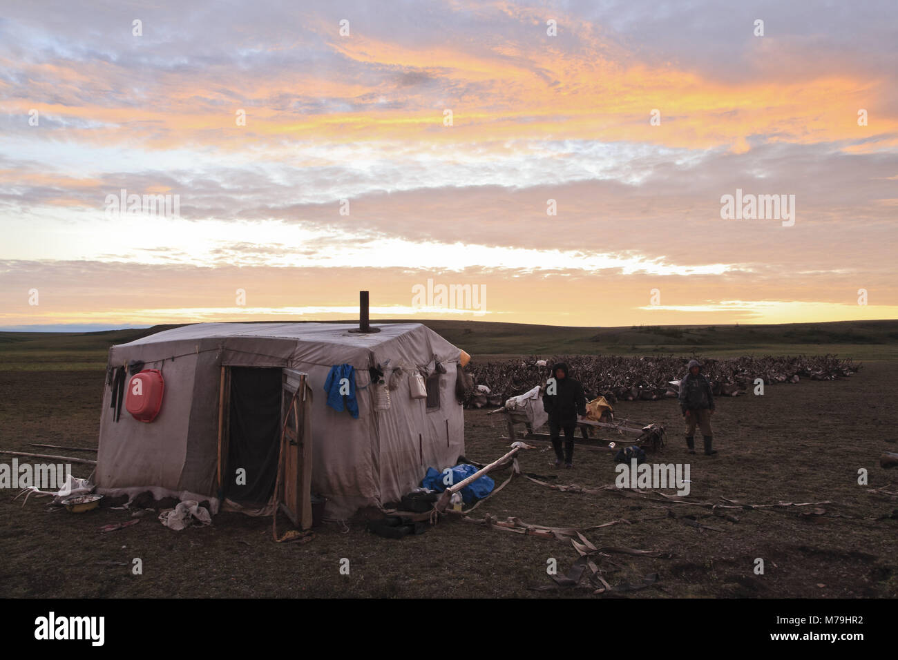 Asia, Russia, Siberia, Taimyr peninsula, huts, Balok, reindeer ...