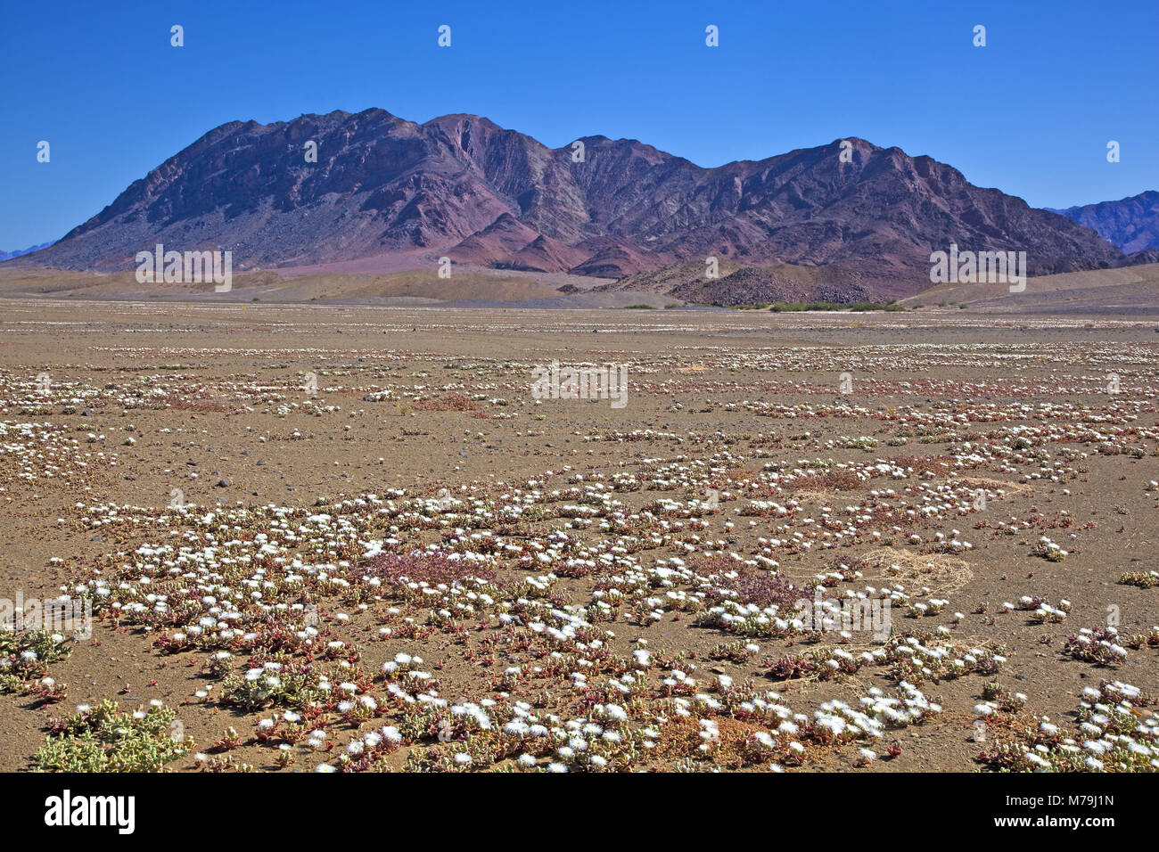South africa namibia border hi-res stock photography and images - Alamy