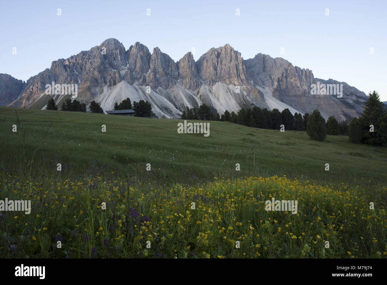 Tullen of the north, Dolomites, South Tirol, Italy Stock Photo - Alamy