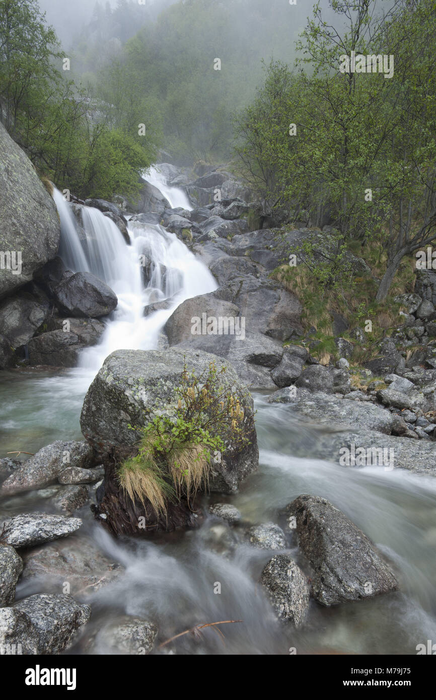 Waterfall in Val di Mello, Lombardy, Italy Stock Photo - Alamy
