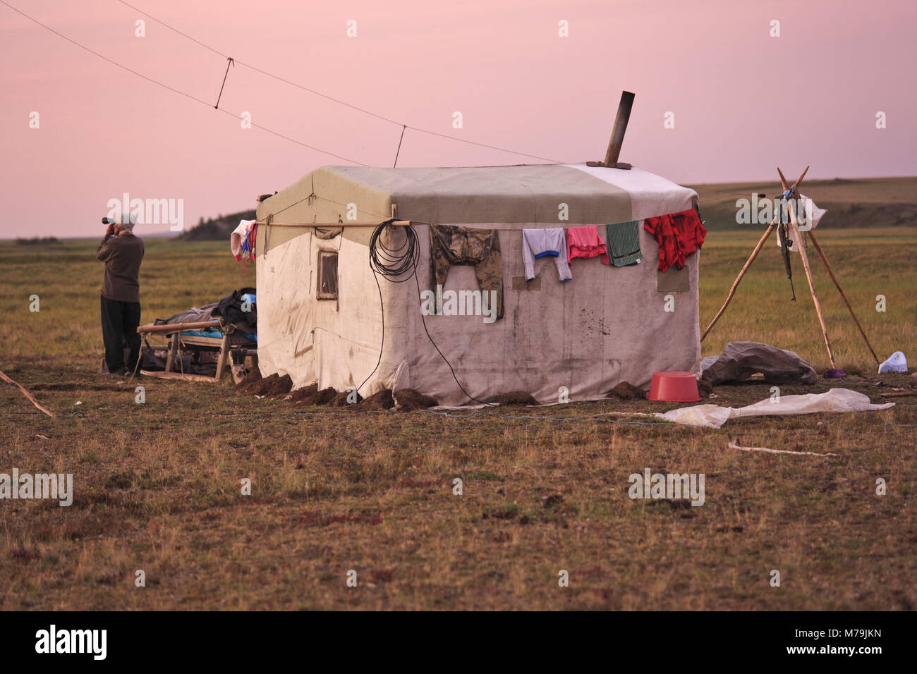 Taimyr peninsula reindeer hi-res stock photography and images - Alamy