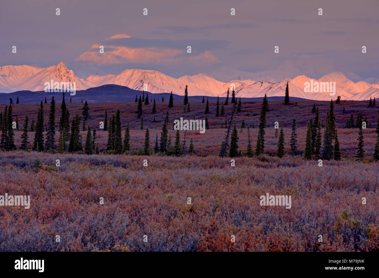 North America, the USA, Alaska, Denali National Park, Alaska Range ...