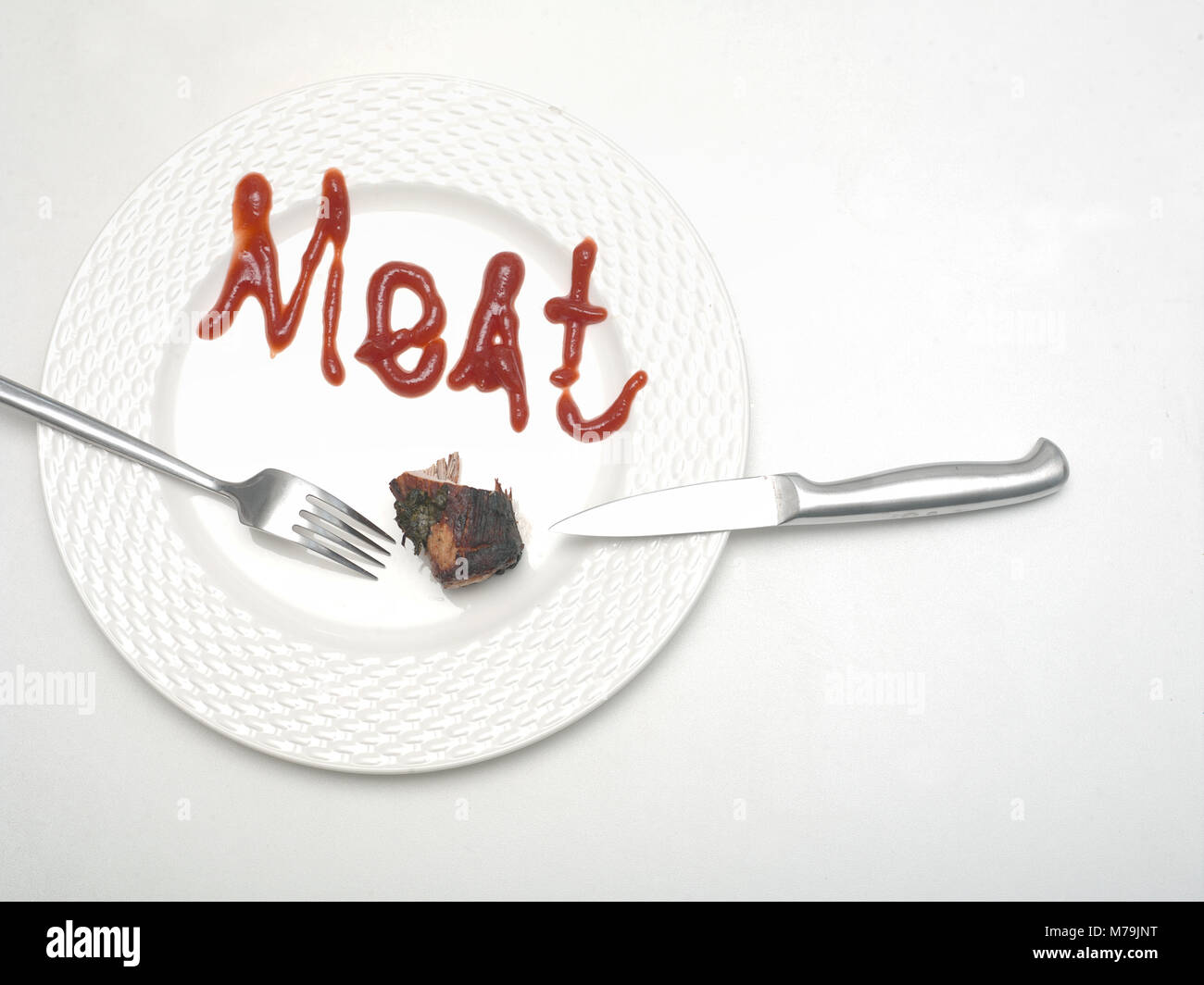 Piece of meat laid on a plate and a word Meat written with sauce ...