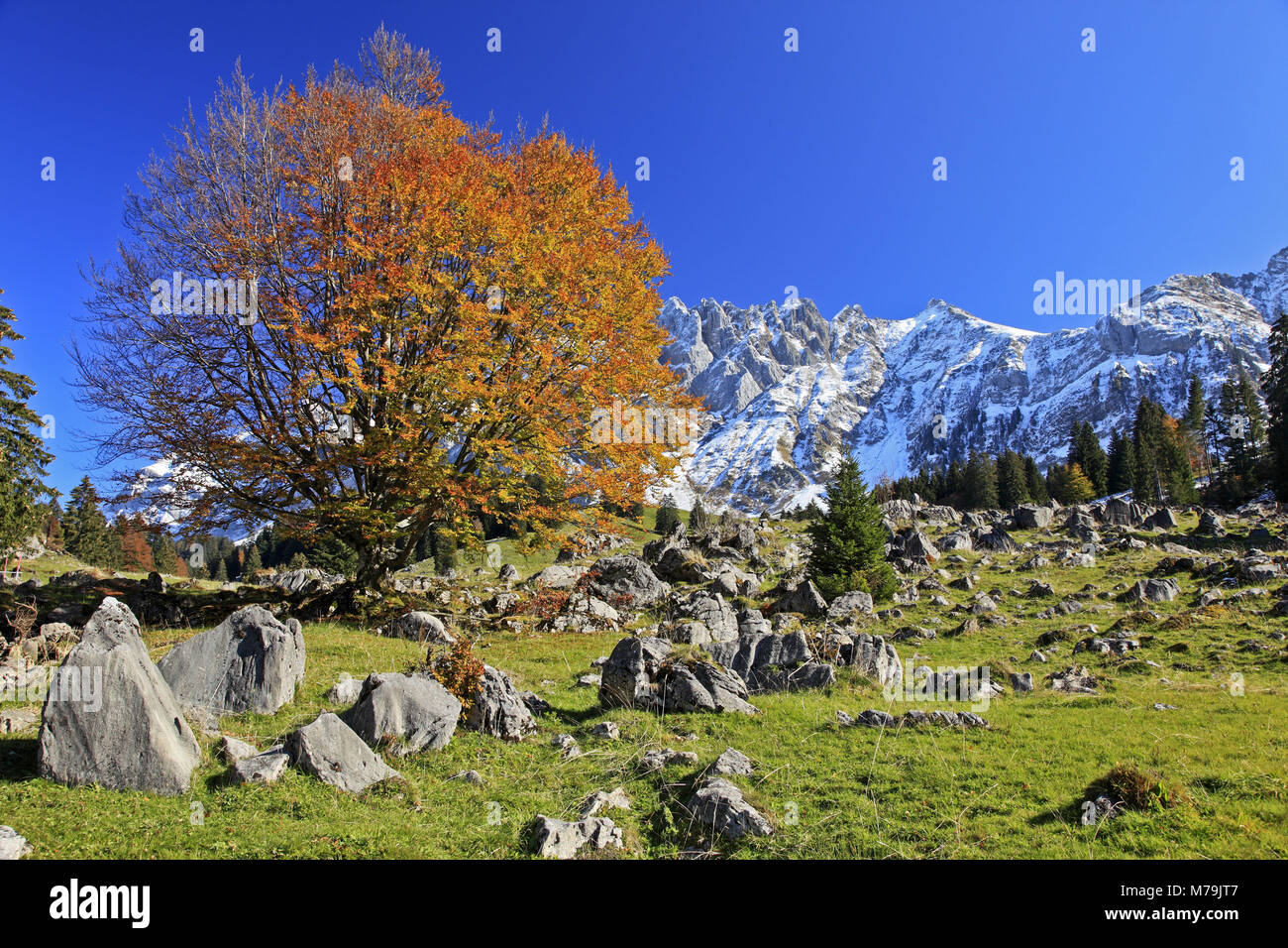 Switzerland, Appenzell, Appenzeller country, Alpstein massif,Säntis ...