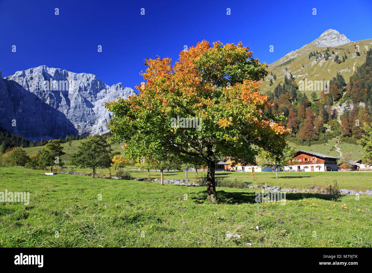 Austria, Tyrol, Engtal, Eng, Ahornboden, Karwendels Stock Photo - Alamy