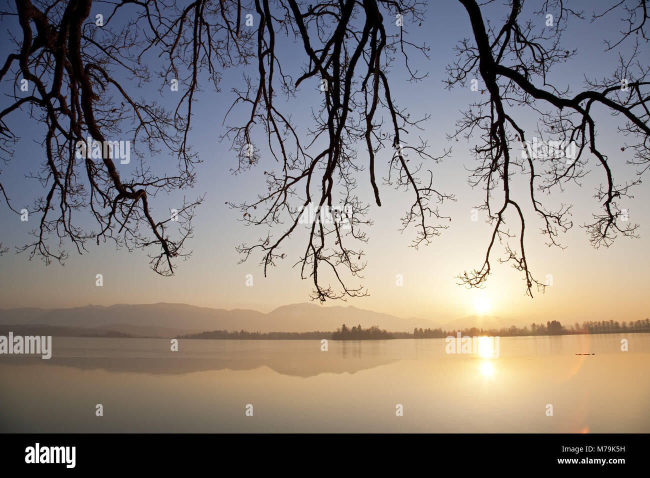 Morning at the Staffelsee, Uffing, Upper Bavaria, Bavaria, Germany ...