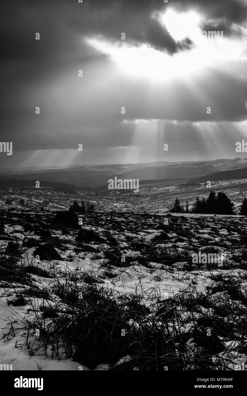 North burbage Black and White Stock Photos & Images - Alamy