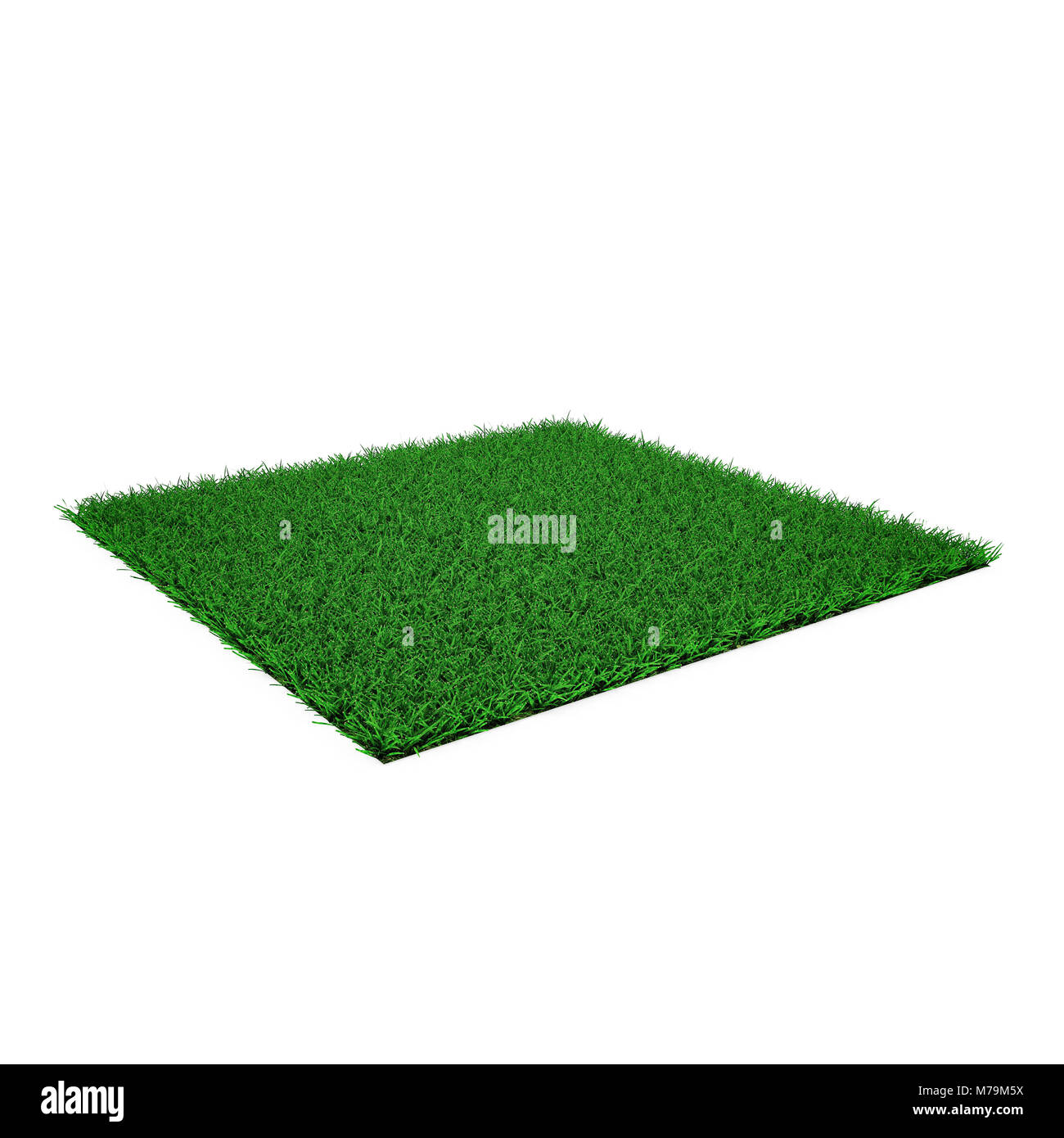 Square of green grass field on white background. 3D illustration Stock ...