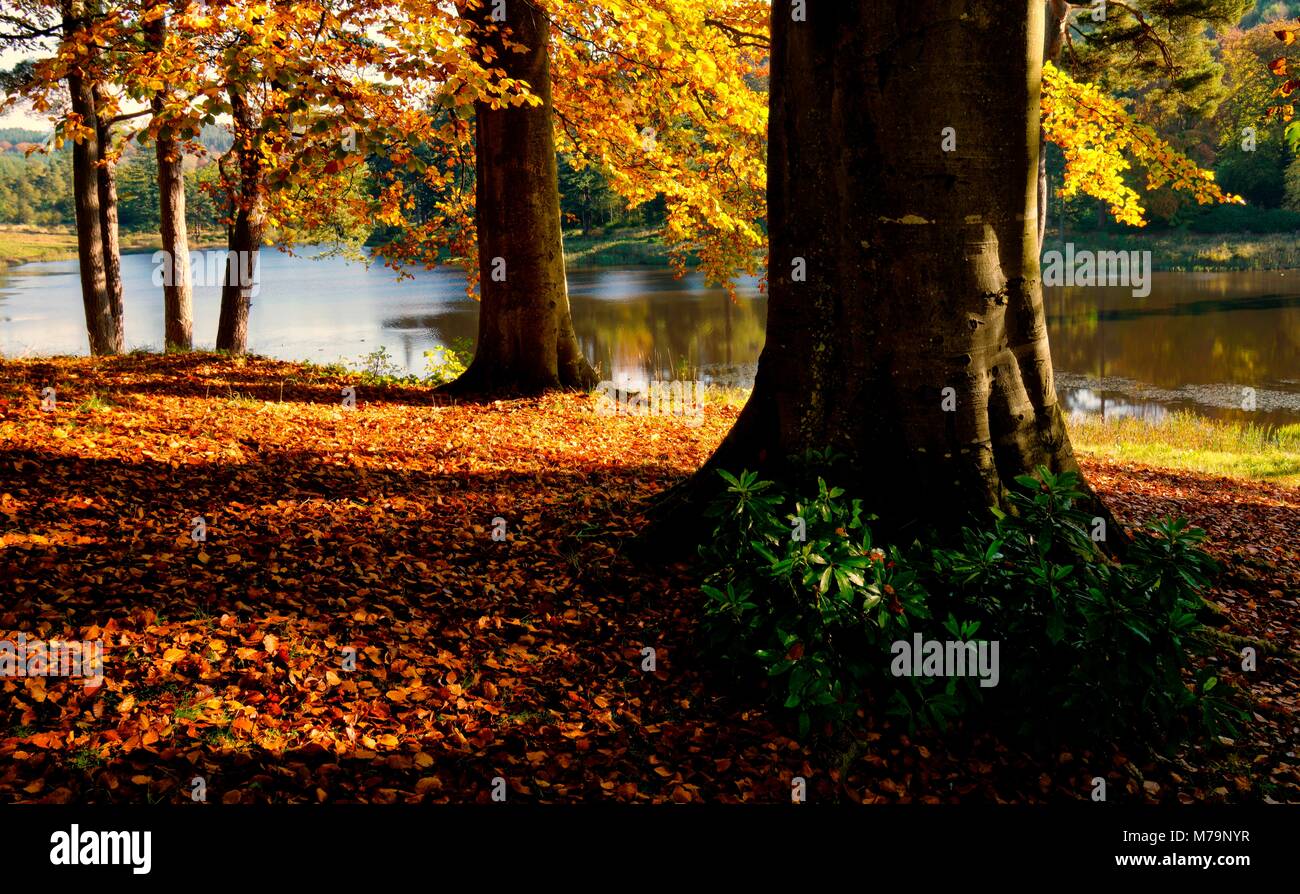 Lee valley farm hi-res stock photography and images - Alamy