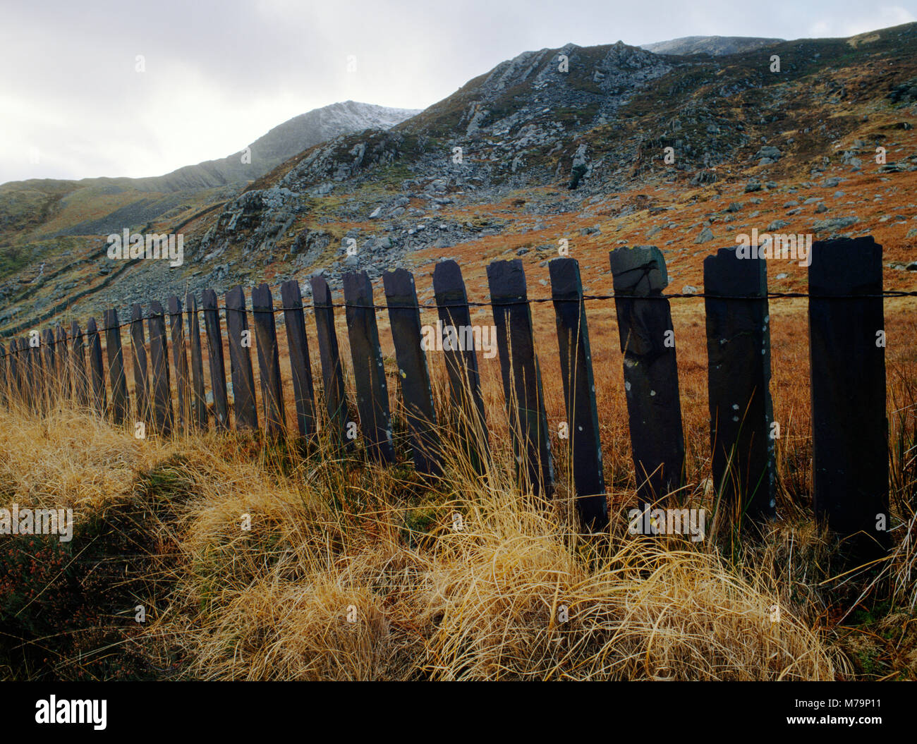 Traditional slate fence made from waste slabs or off cuts from the ...