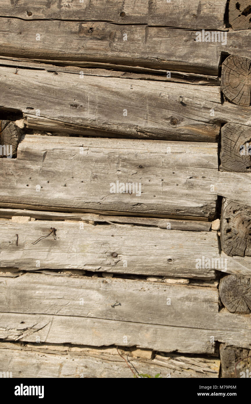 Old logs on an antique derelict log cabin wall Stock Photo - Alamy