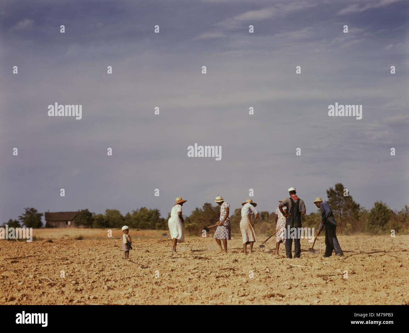Cotton Workers Stock Photos & Cotton Workers Stock Images - Alamy
