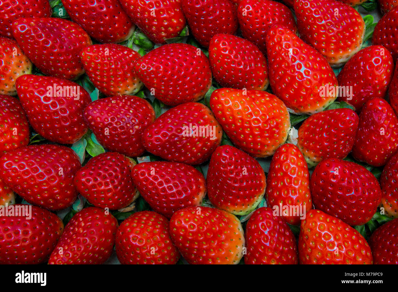 Pile of red ripe strawberries placed in the same symmetrical position ...