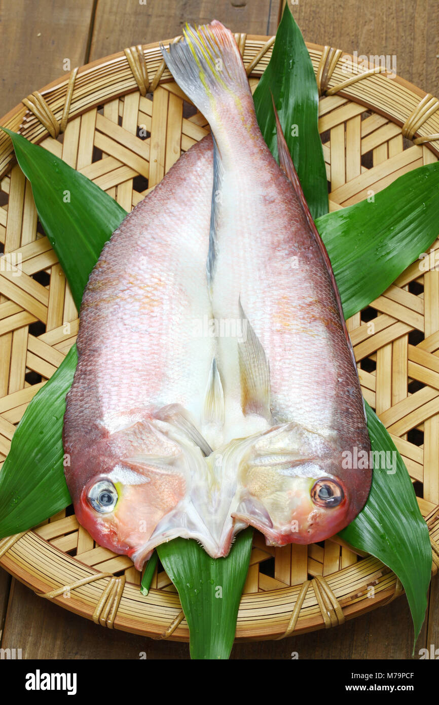 Tilefish hi-res stock photography and images - Alamy