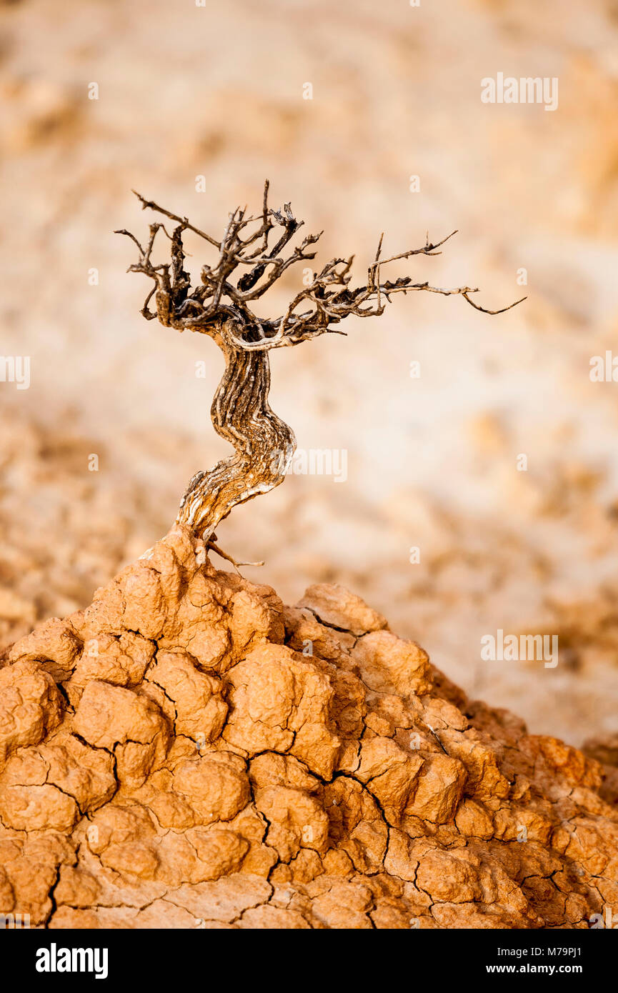 Death surprising hi-res stock photography and images - Alamy