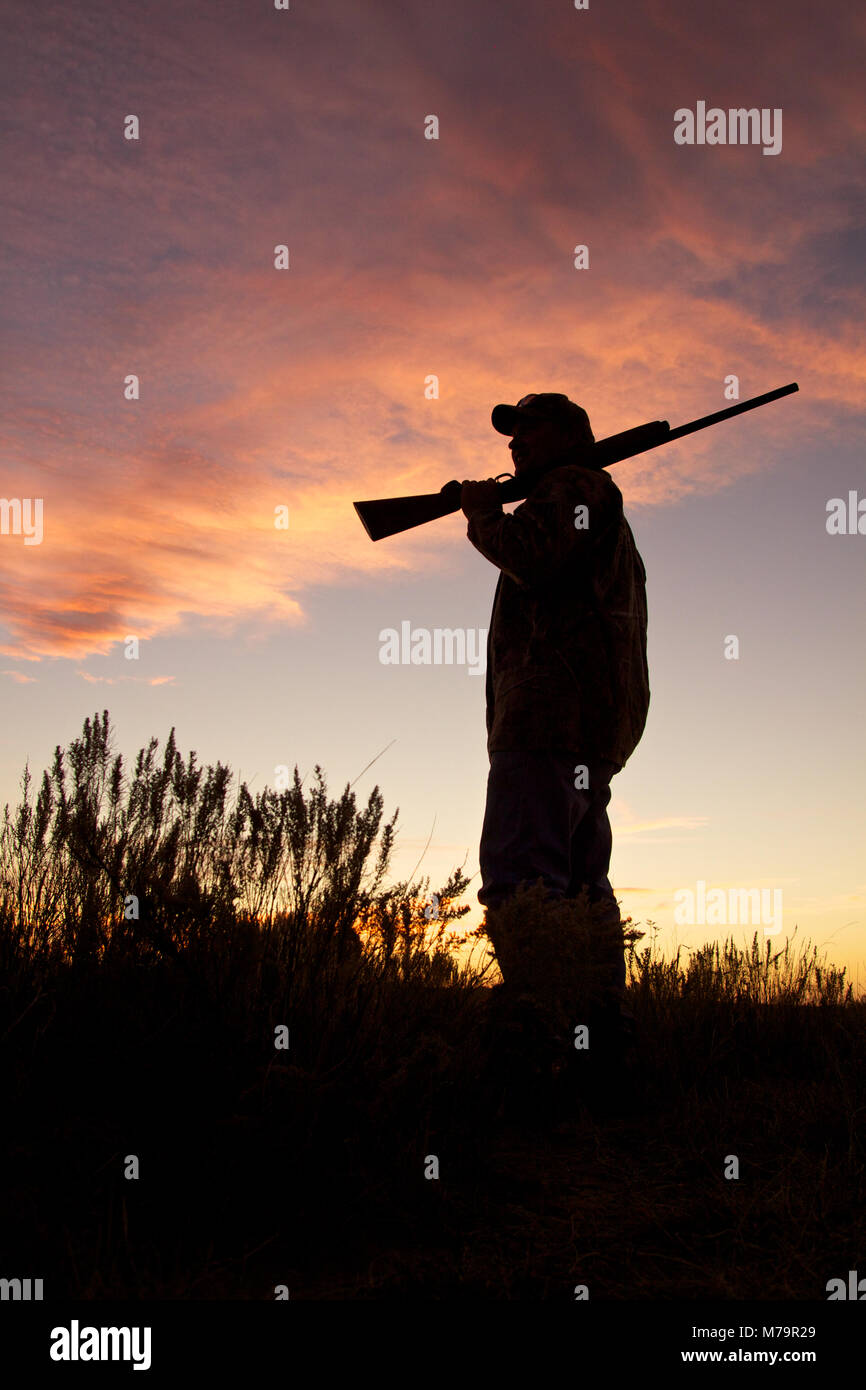 Hunter With Shotgun at Sunset Stock Photo - Alamy