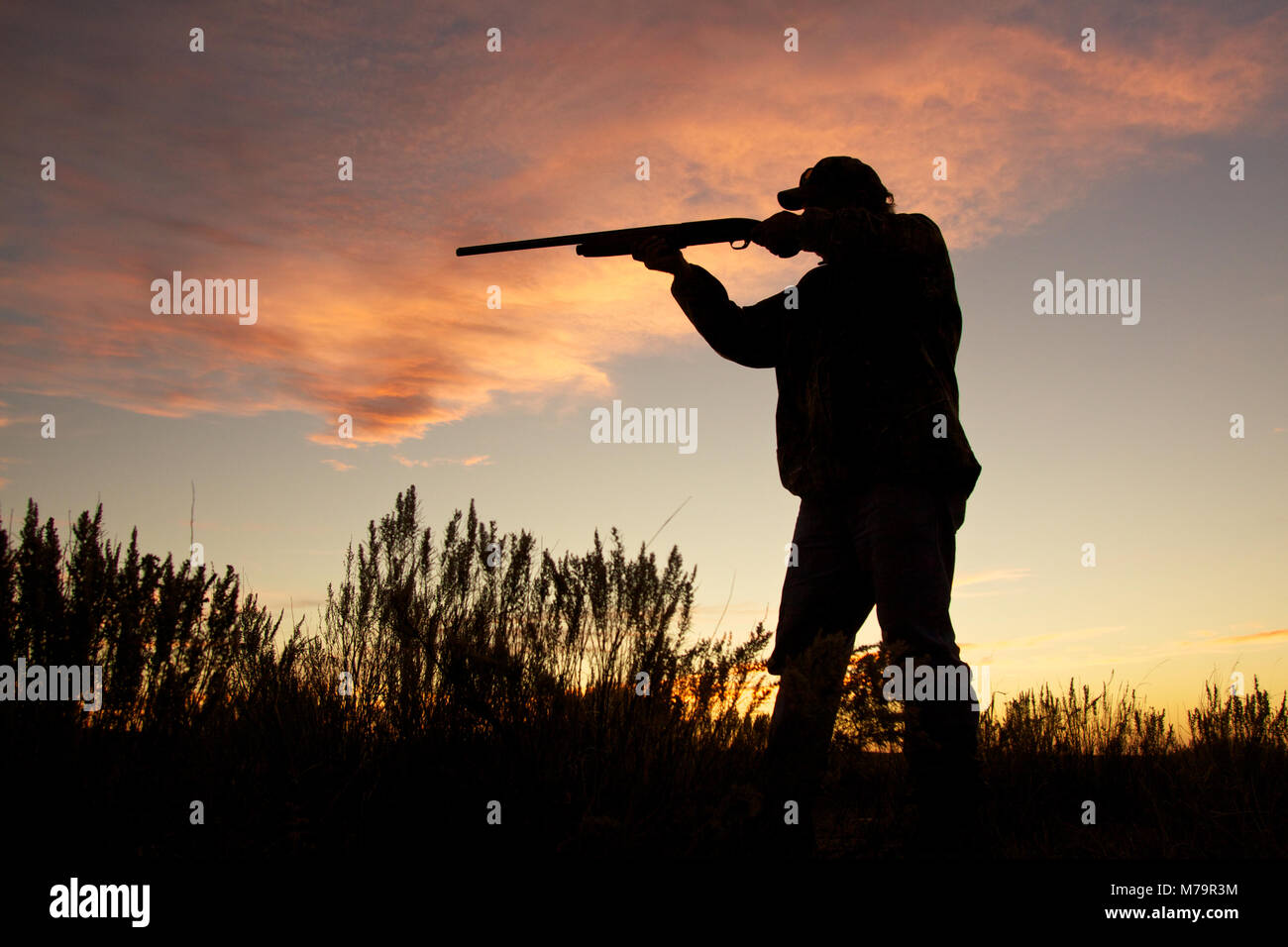 Hunter With Shotgun at Sunset Stock Photo - Alamy