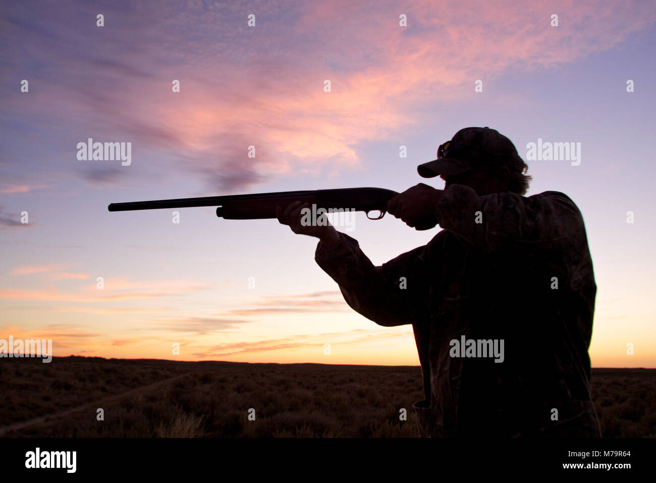 Hunter With Shotgun at Sunset Stock Photo - Alamy
