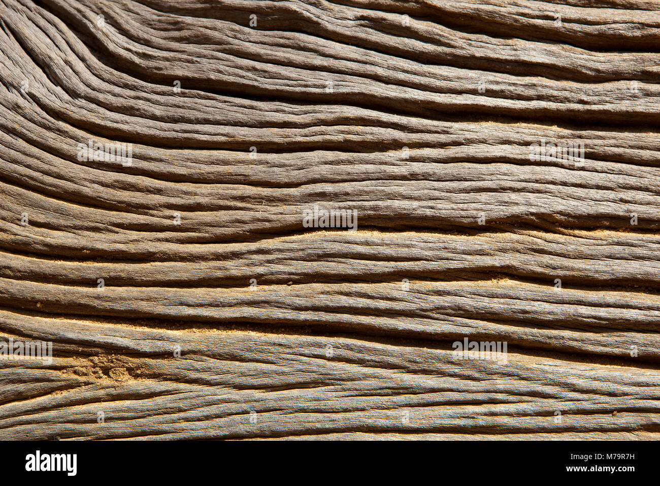 sri lankan wood texture background with lines patterns and curves Stock ...