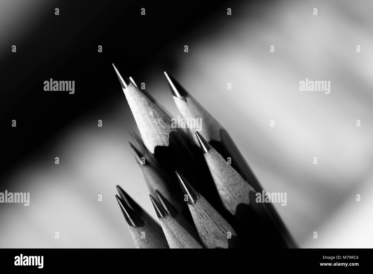 Fine Point Pencil at Ronnie Baker blog