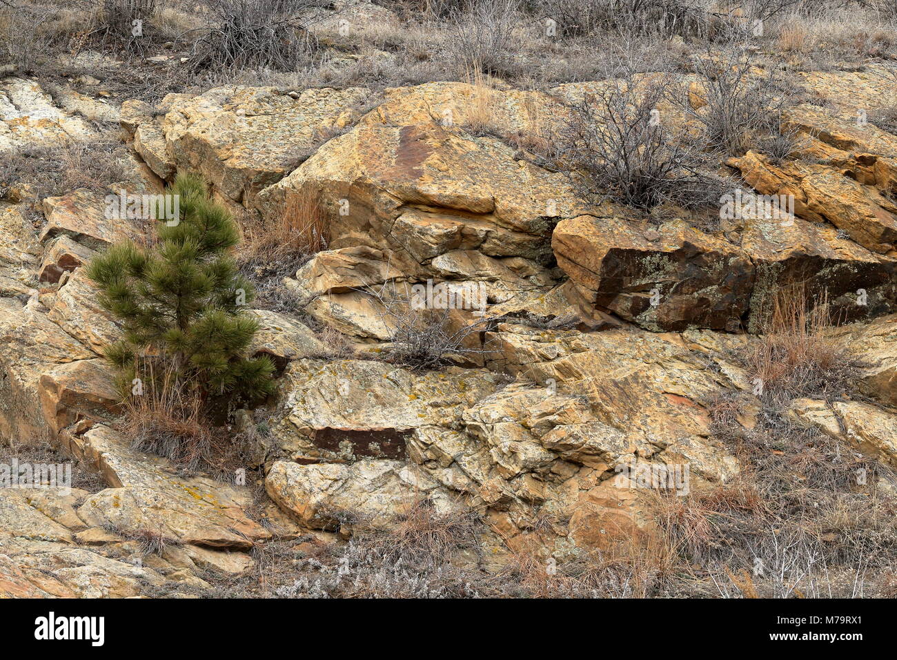 Red rocks park morrison hi-res stock photography and images - Alamy
