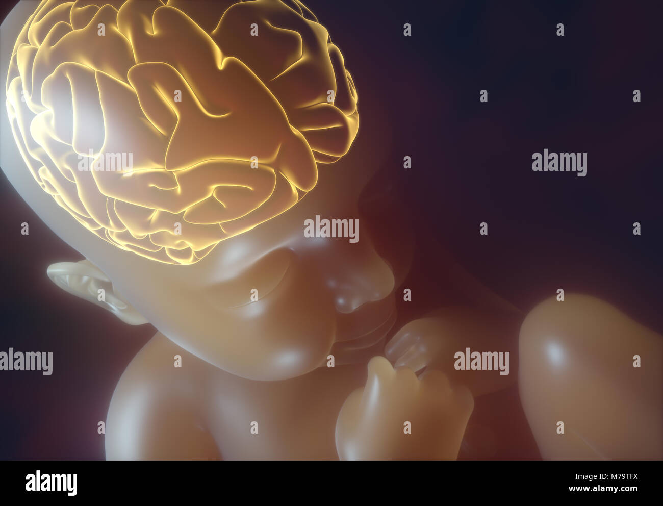 3d baby scan hi-res stock photography and images - Alamy