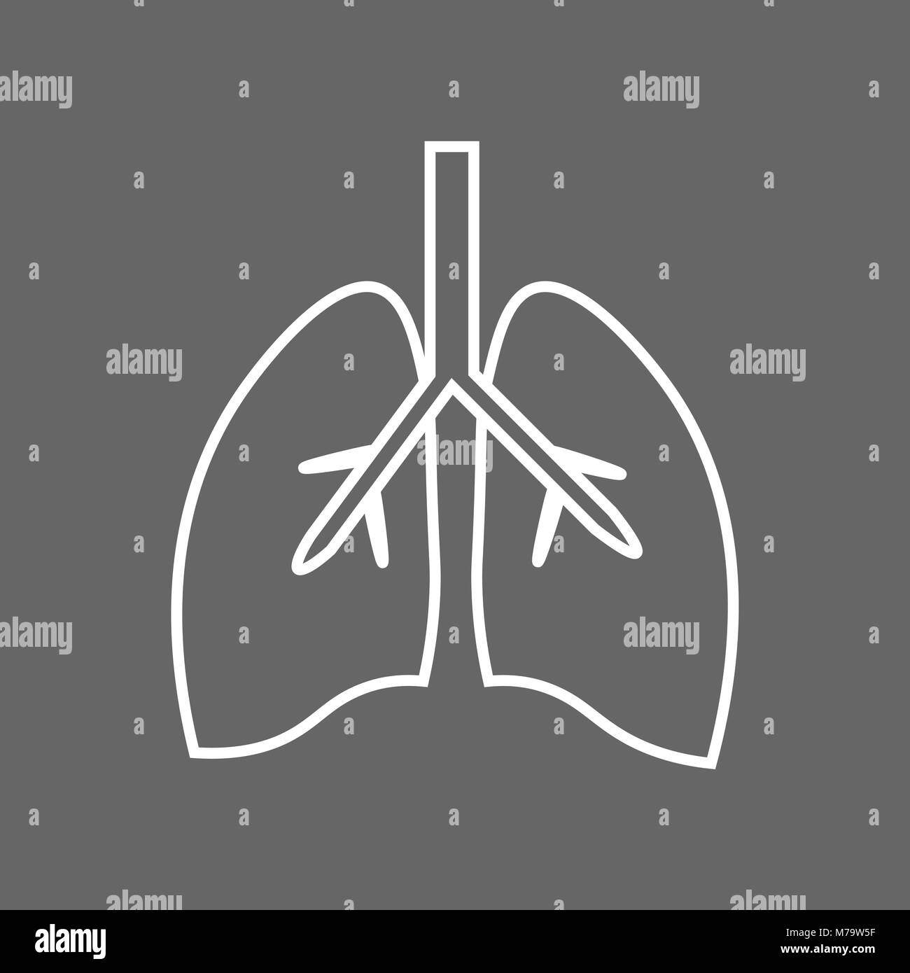 Human respiratory anatomy Black and White Stock Photos & Images - Alamy