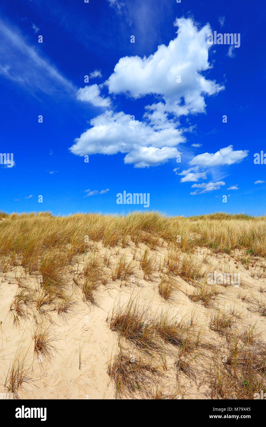 Grassy sand dunes and beach of Baltic Sea central shore near town of ...