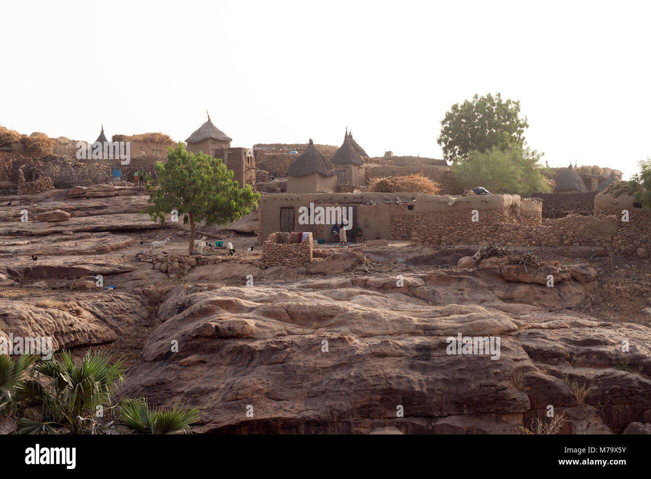 A typical clifftop village in Dogon country, Mali, West Africa Stock ...