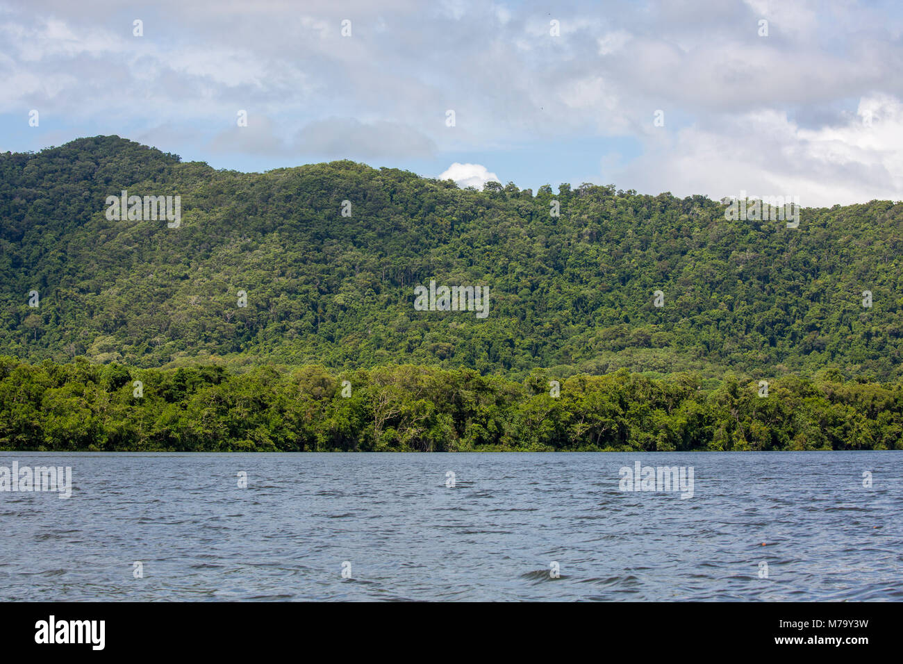 Daintree River in Daintree national park, Far North Queensland ...