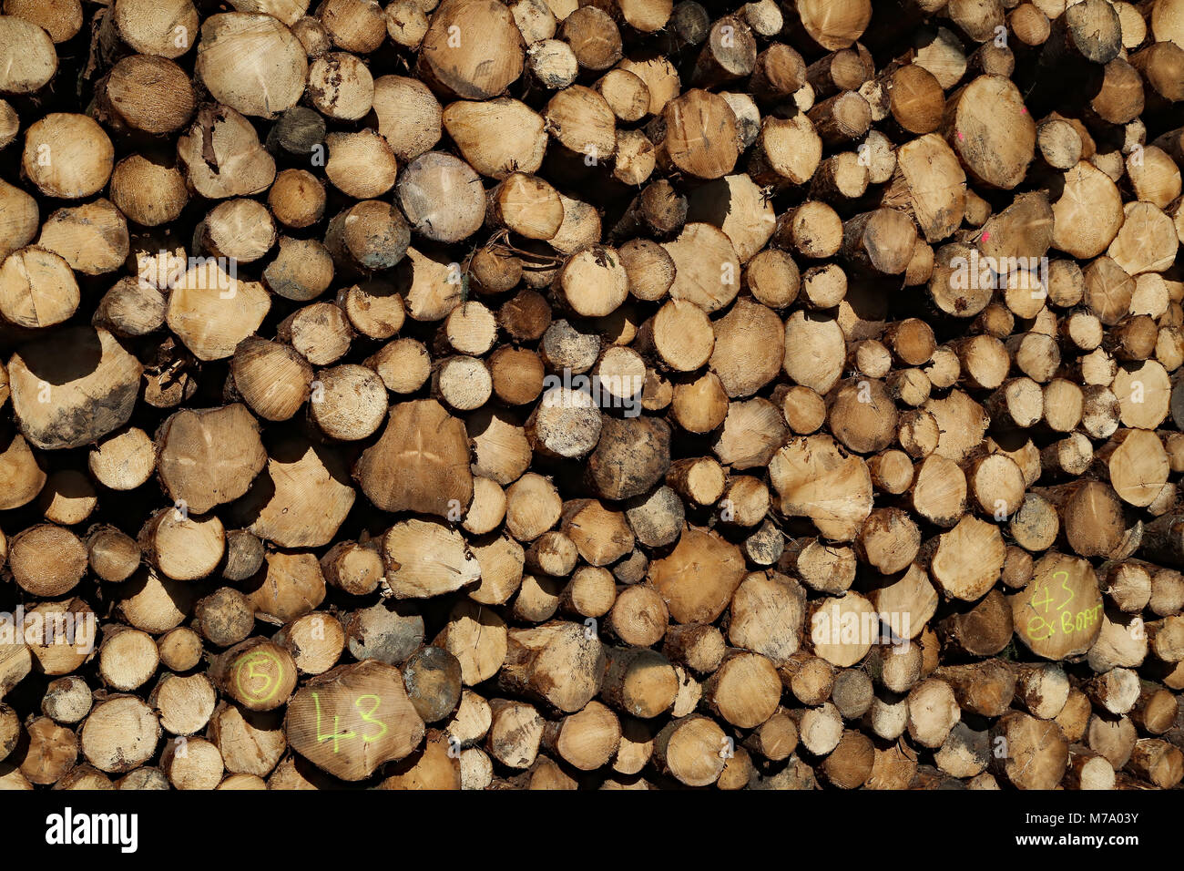 Scottish timber mill hi-res stock photography and images - Alamy