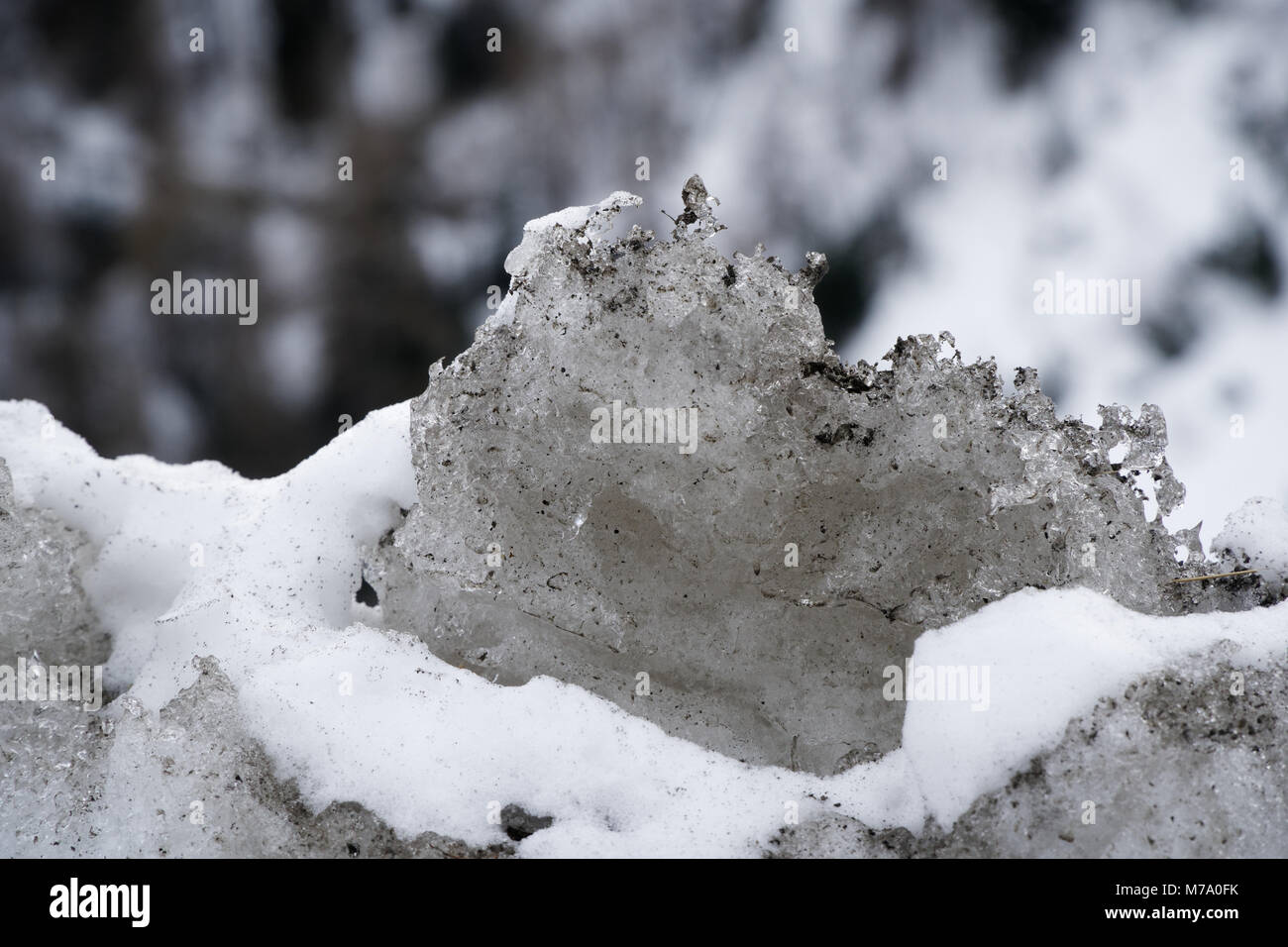 Snow Winter background, close-up of frosted ice lump on a snowing day ...