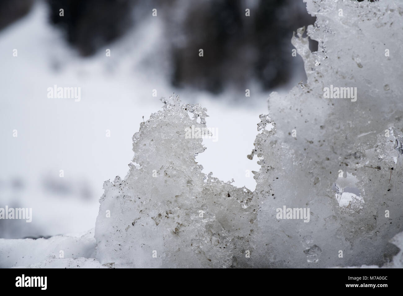 Snow Winter background, close-up of frosted ice lump on a snowing day ...