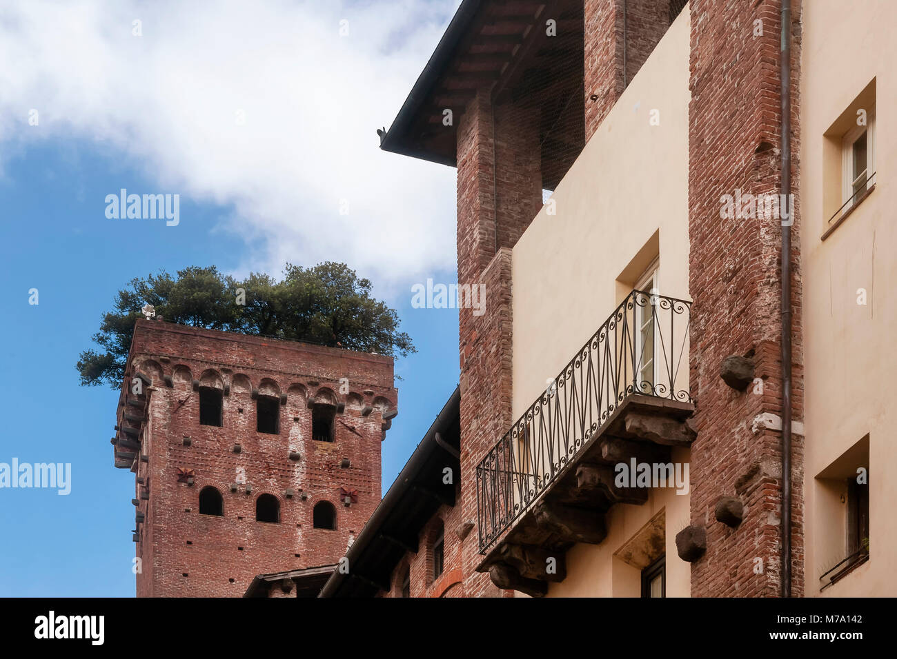 The beautiful medieval Guinigi Tower with holm oak trees on top, Lucca ...