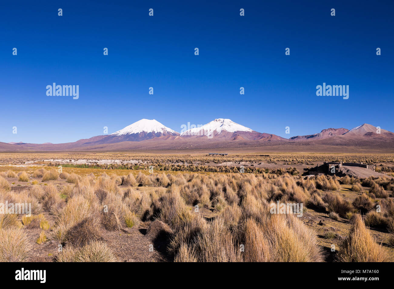 Bolivian panoramic: High Andean tundra landscape in the mountains of ...
