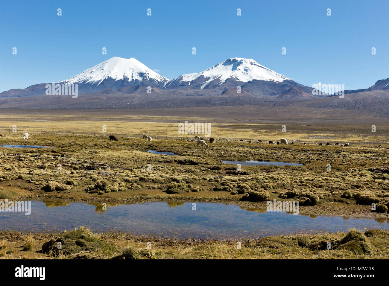 Bolivian panoramic: landscape of the Andes Mountains, with snow-covered ...